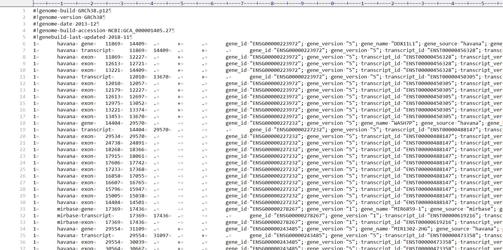 云工具 - htseq-count定量分析