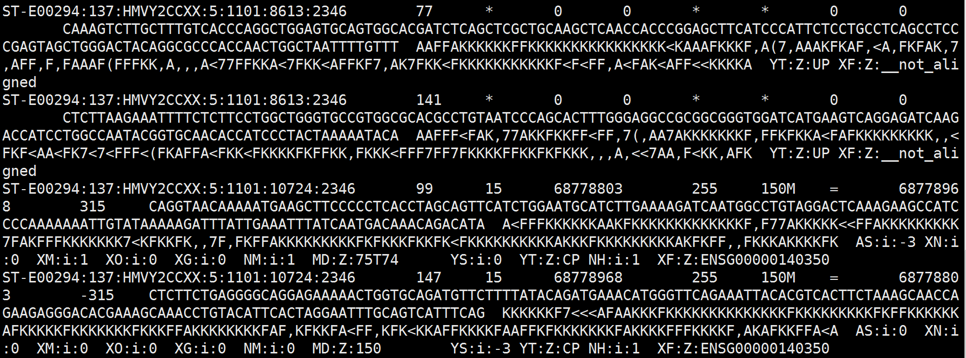 云工具 - htseq-count定量分析